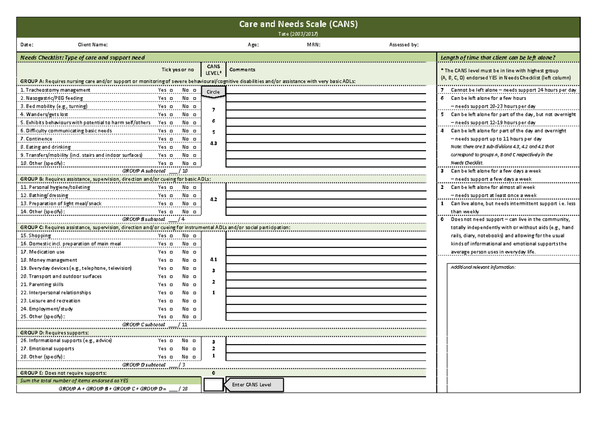 CANS Care and Needs Scale Assessment: Client Support Checklist - Studocu
