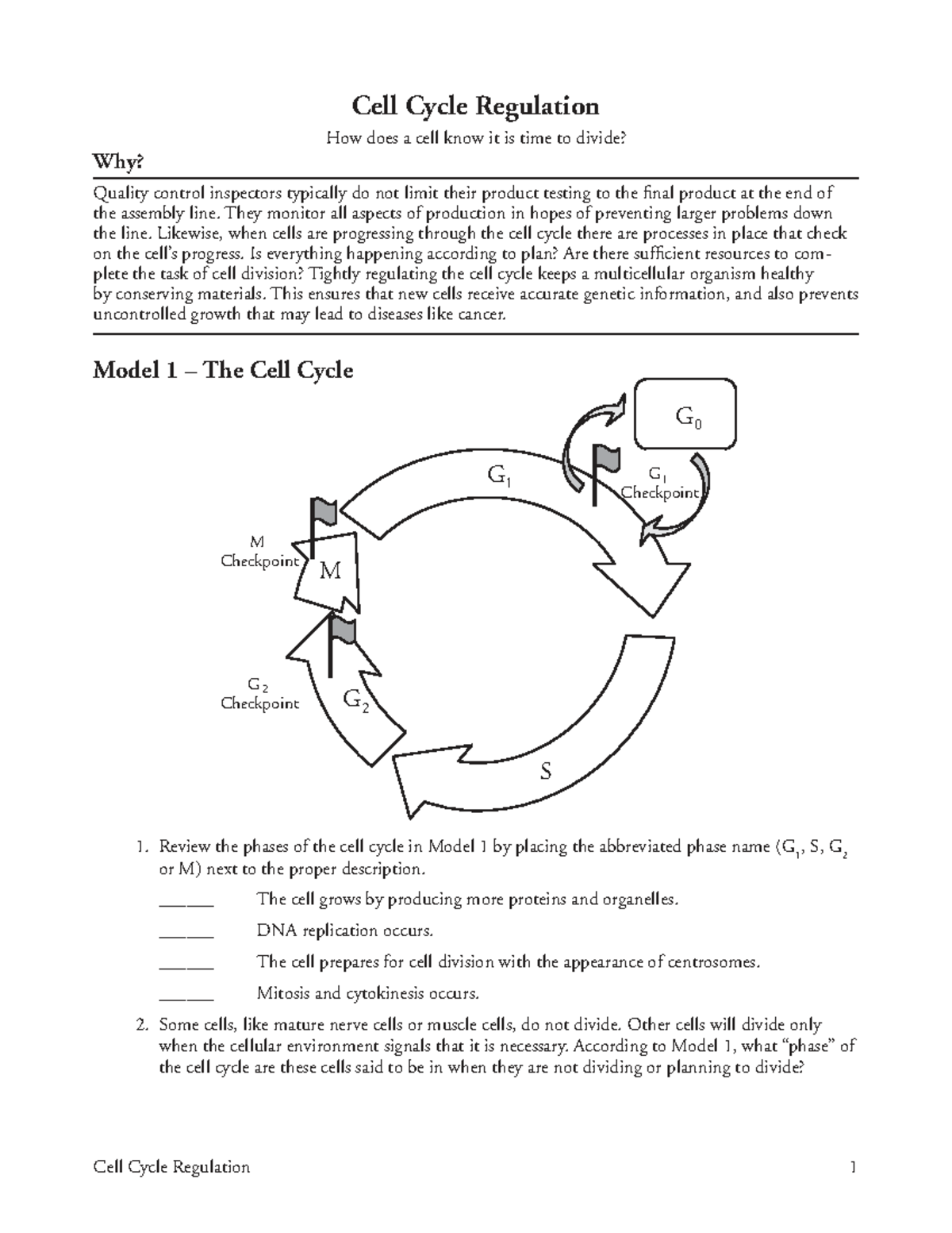 Cell Cycle Regulation: Understanding Checkpoints and Control (Bio 18 ...