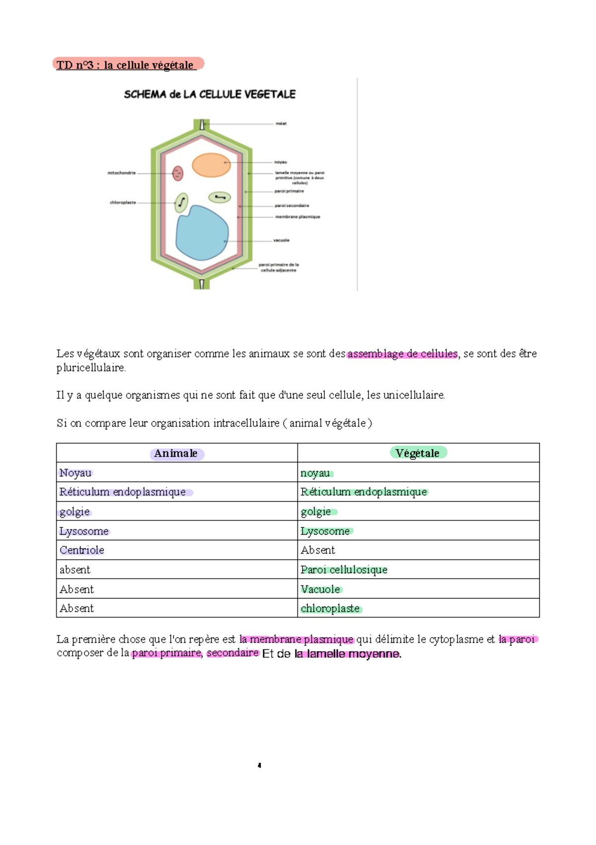 TD 3 : Fonctionnement et Structure de la Cellule Végétale - Studocu