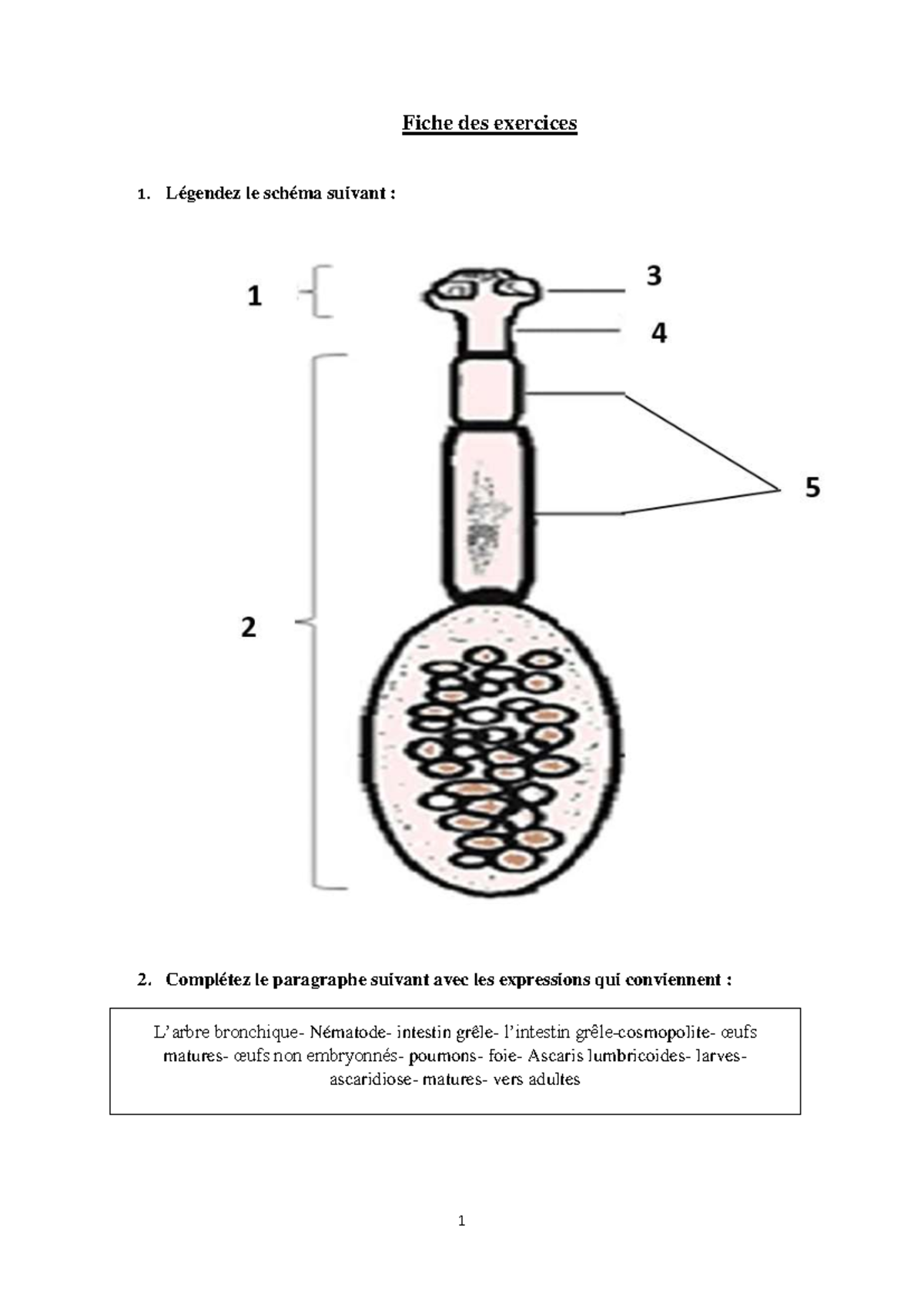 Exercices sur les Parasites Nématodes et Autres - Fiche 1 - Studocu