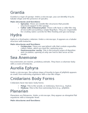 [Solved] Identify a prepared slide of Grantia under a microscope ...