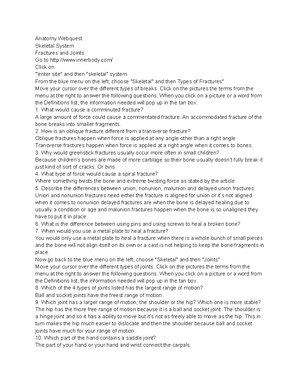 Reproductive system webquest - Name ...