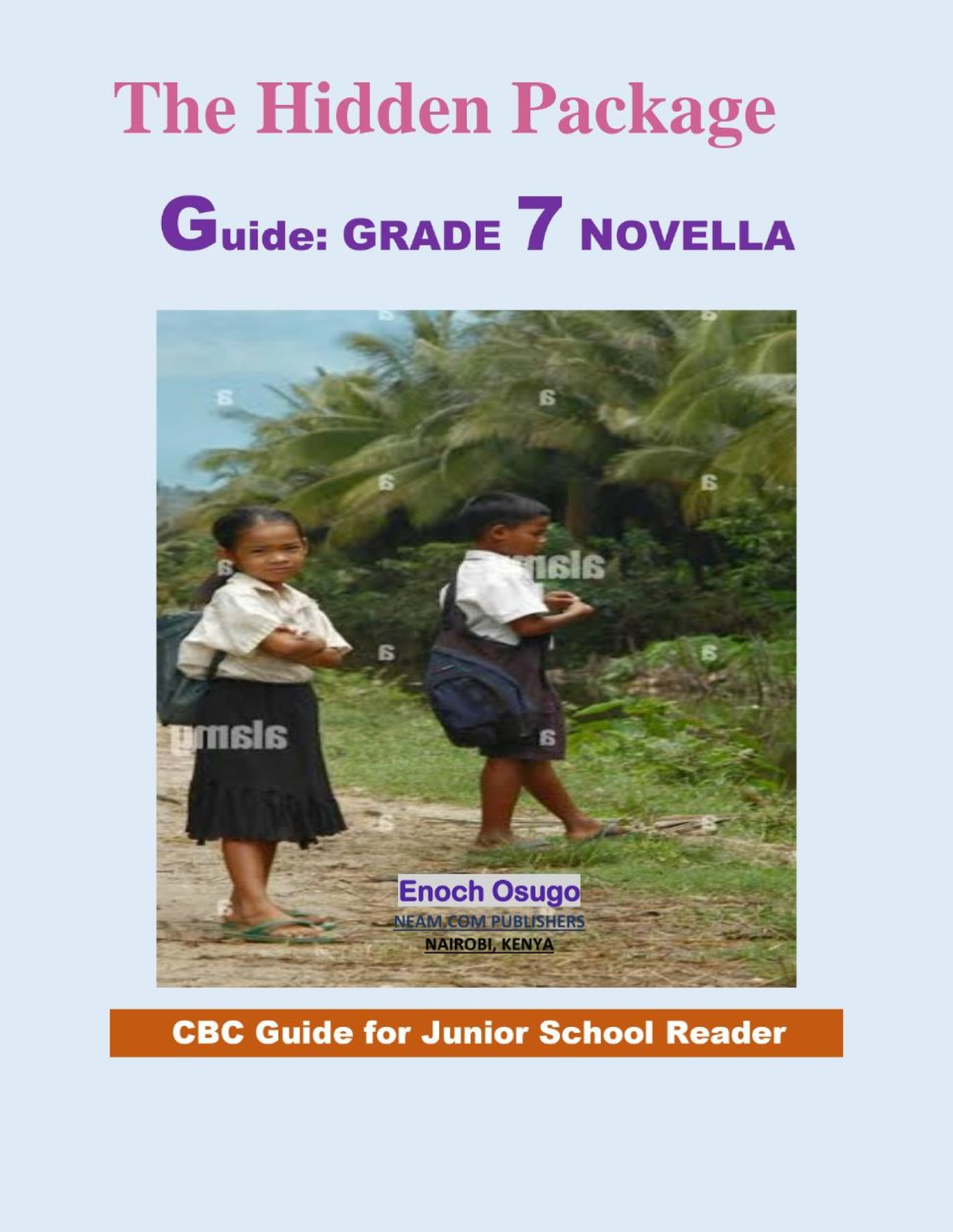 Guide: GRADE 7 NOVELLA - The Hidden Package Analysis & Insights - Studocu