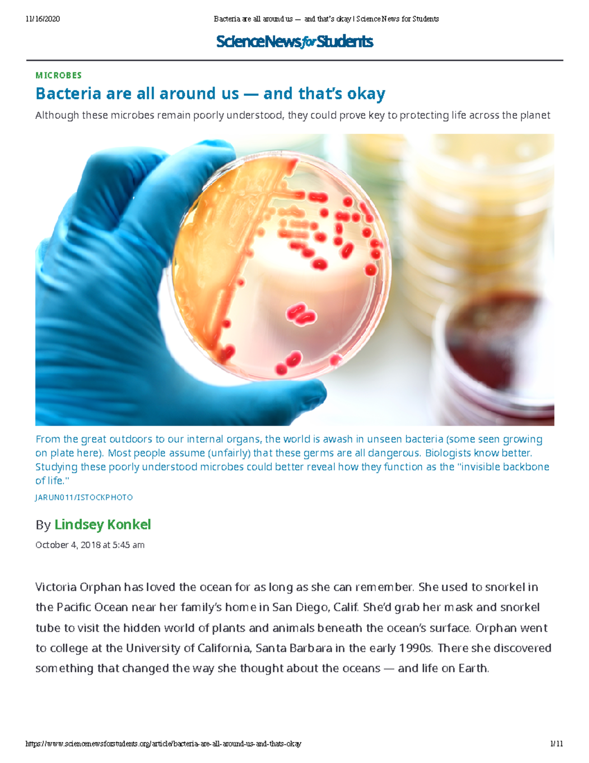 Bacteria are all around us - and thats okay Science News for Students ...