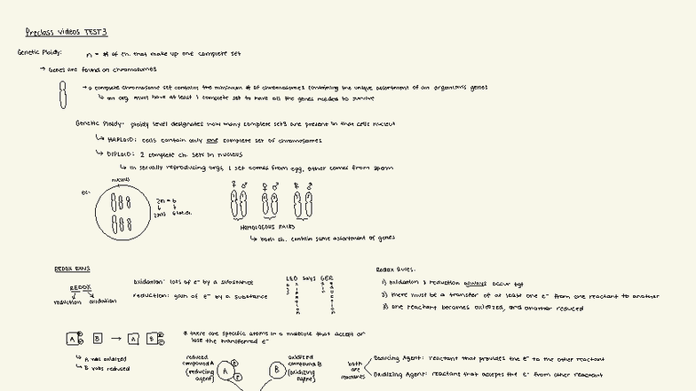 Bio 101: TEST3 Genetic Ploidy & Oxidation Processes Notes - Studocu