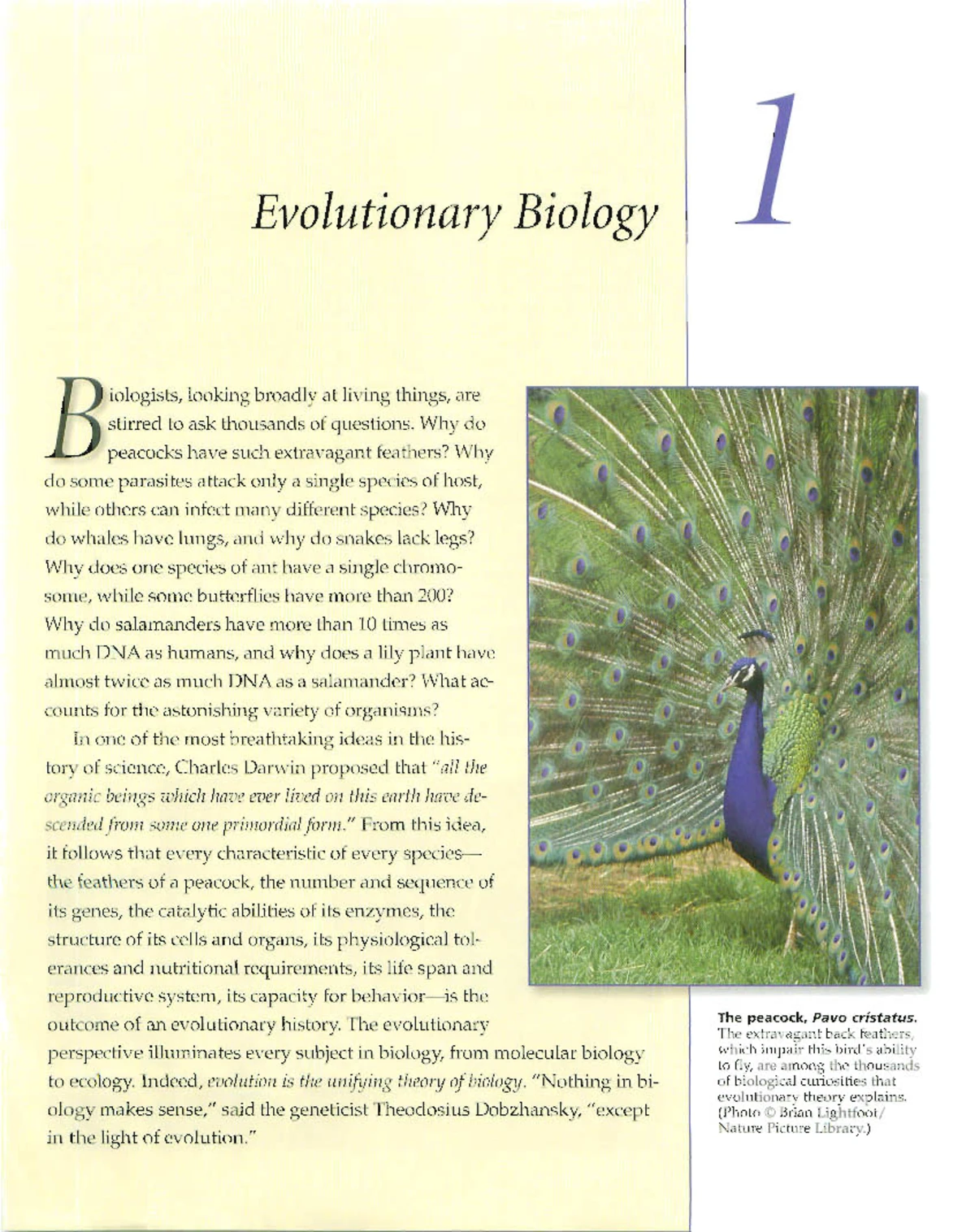 Evolución y Biología: Análisis de Futuyma (Biología Evolutiva) - Studocu