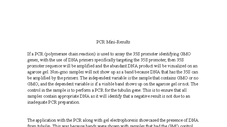 PCR Mini Results: Analyzing 35S Promoter in GMO Detection - Studocu