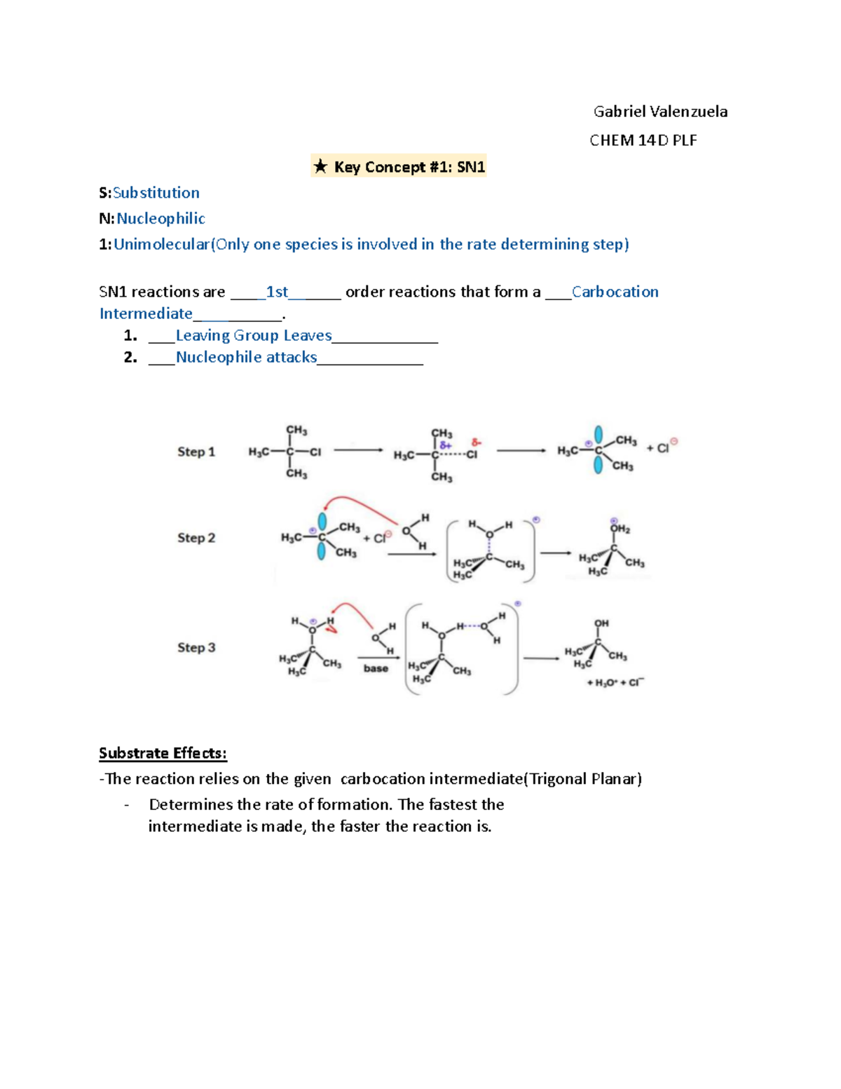 CHEM 14D Key Concepts: SN1 Reactions Explained - Studocu
