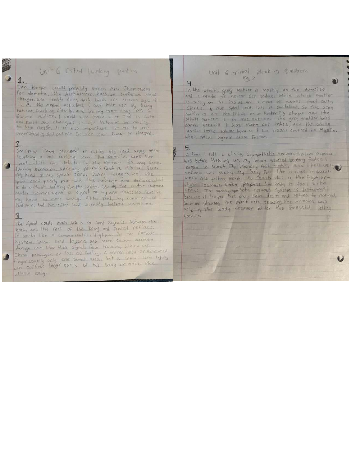 A/P Unit 6 Critical Thinking Questions and Answers - Studocu