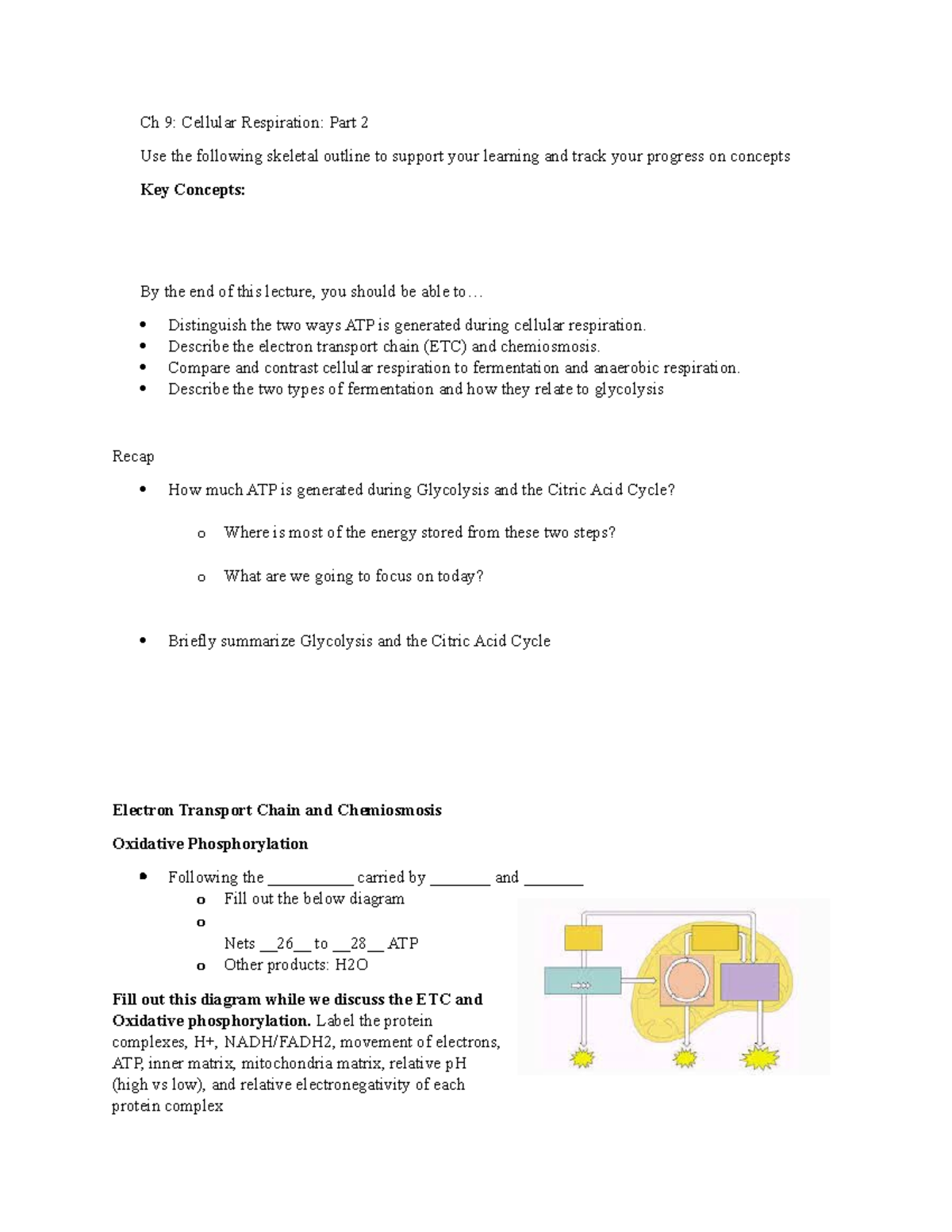 Ch 9: Cellular Respiration - ATP Generation, ETC, and Fermentation - Ch ...