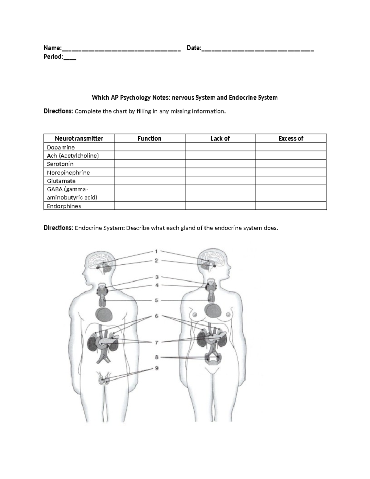 AP PSY 101 Nervous & Endocrine Systems Review Guide for Exam - Studocu
