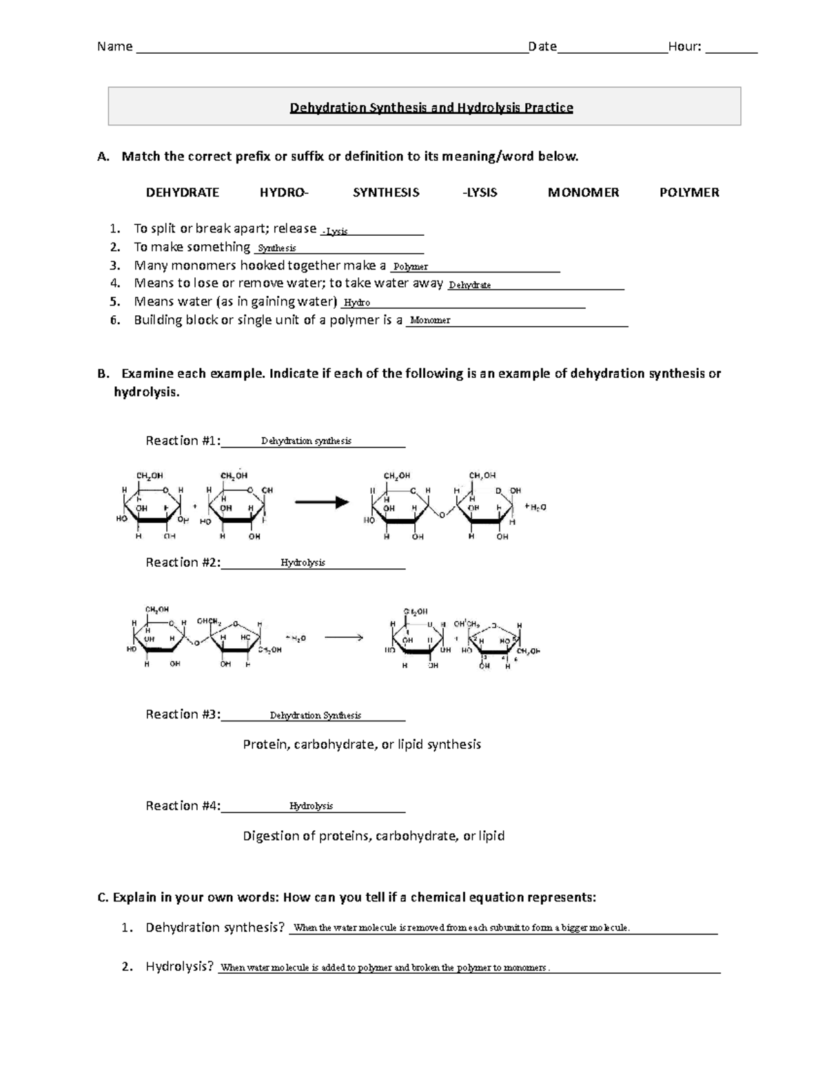 Dehydration Synthesis and Hydrolysis Practice - Name - Studocu