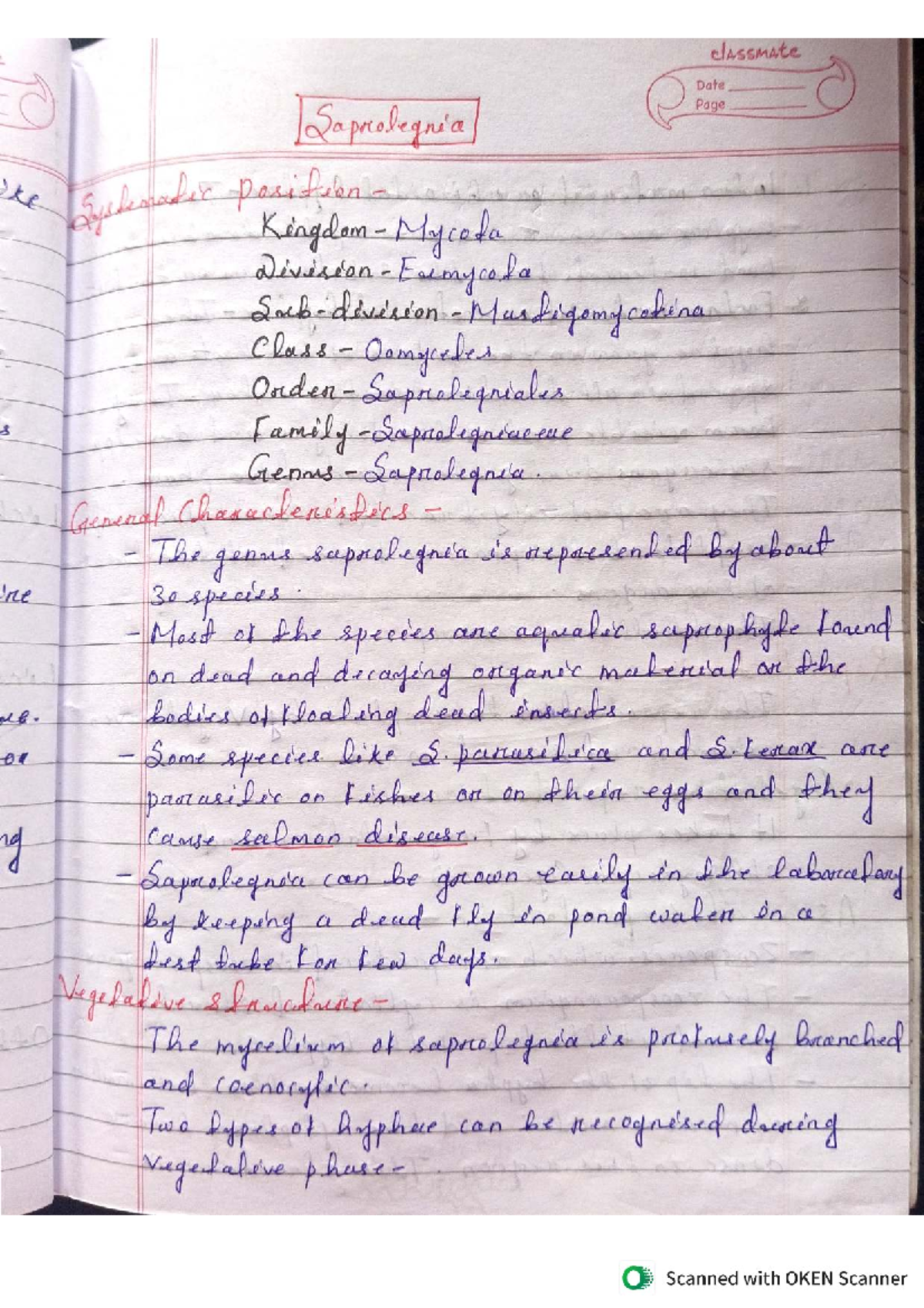 Saprolegnia & Oomycetes: Systematic Position and Characteristics - Studocu