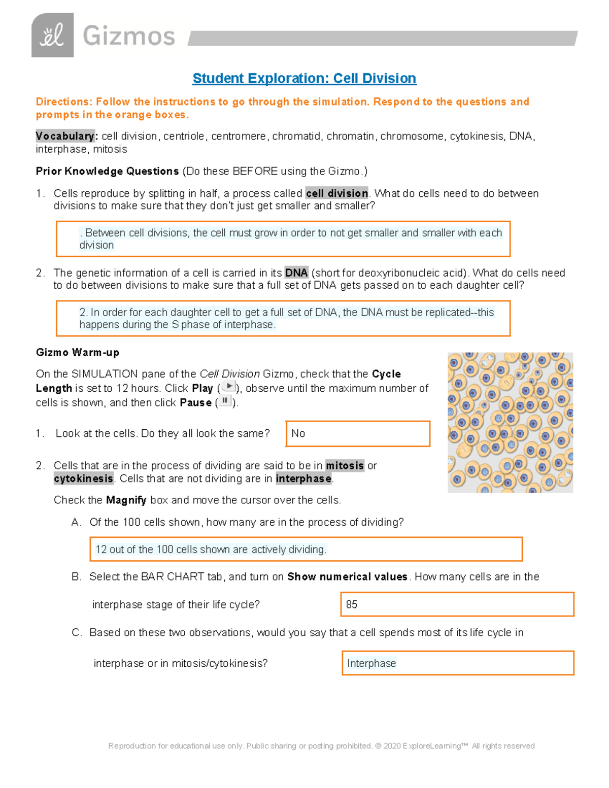 Cell Division Exploration Gizmo - Bio 101 Lab Activity - Studocu