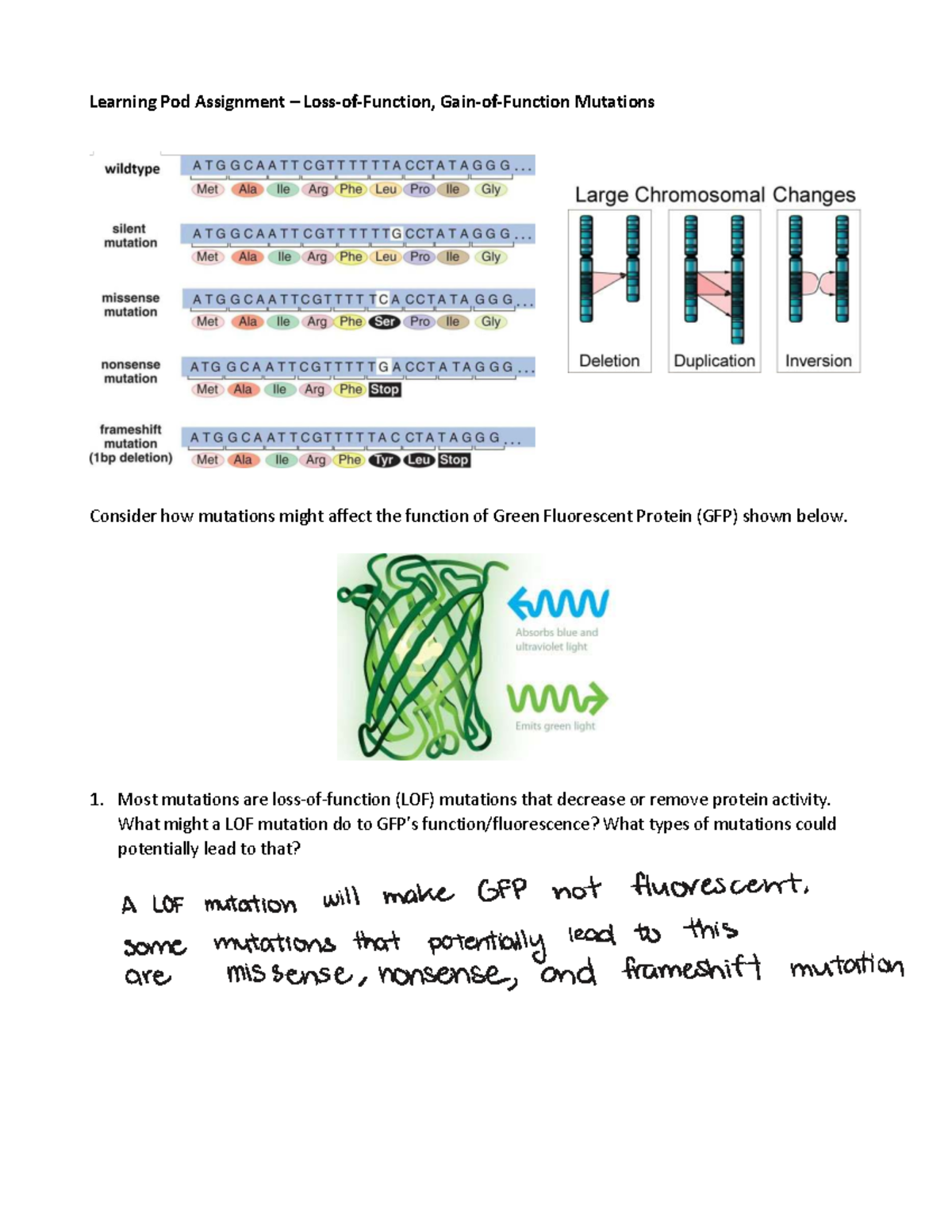 Learning Pod 10a - LOF and GOF Mutations in GFP Function - Studocu