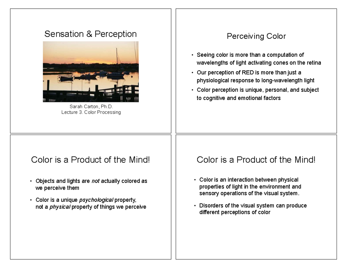 Color Processing and Perception: Lecture 3 (PSY) - Studocu