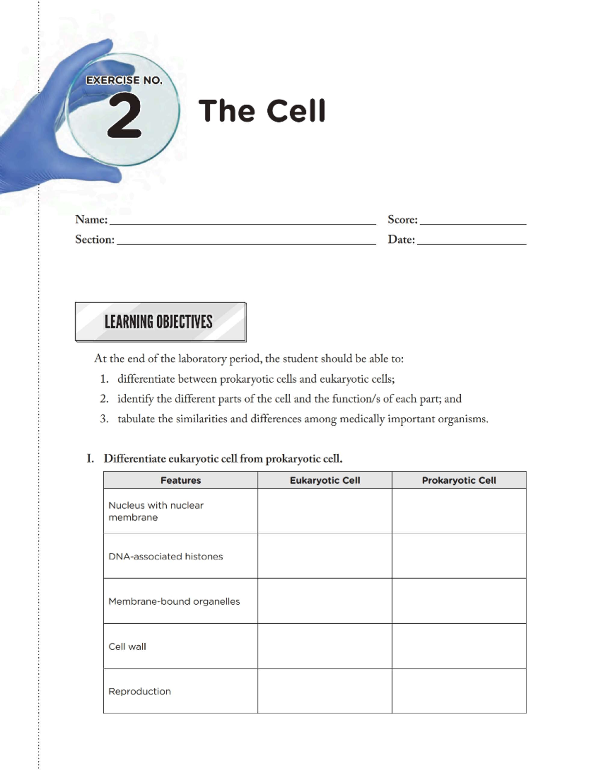 Micro BIO 202 - Lab Activity 2: Cell Differentiation & Identification ...