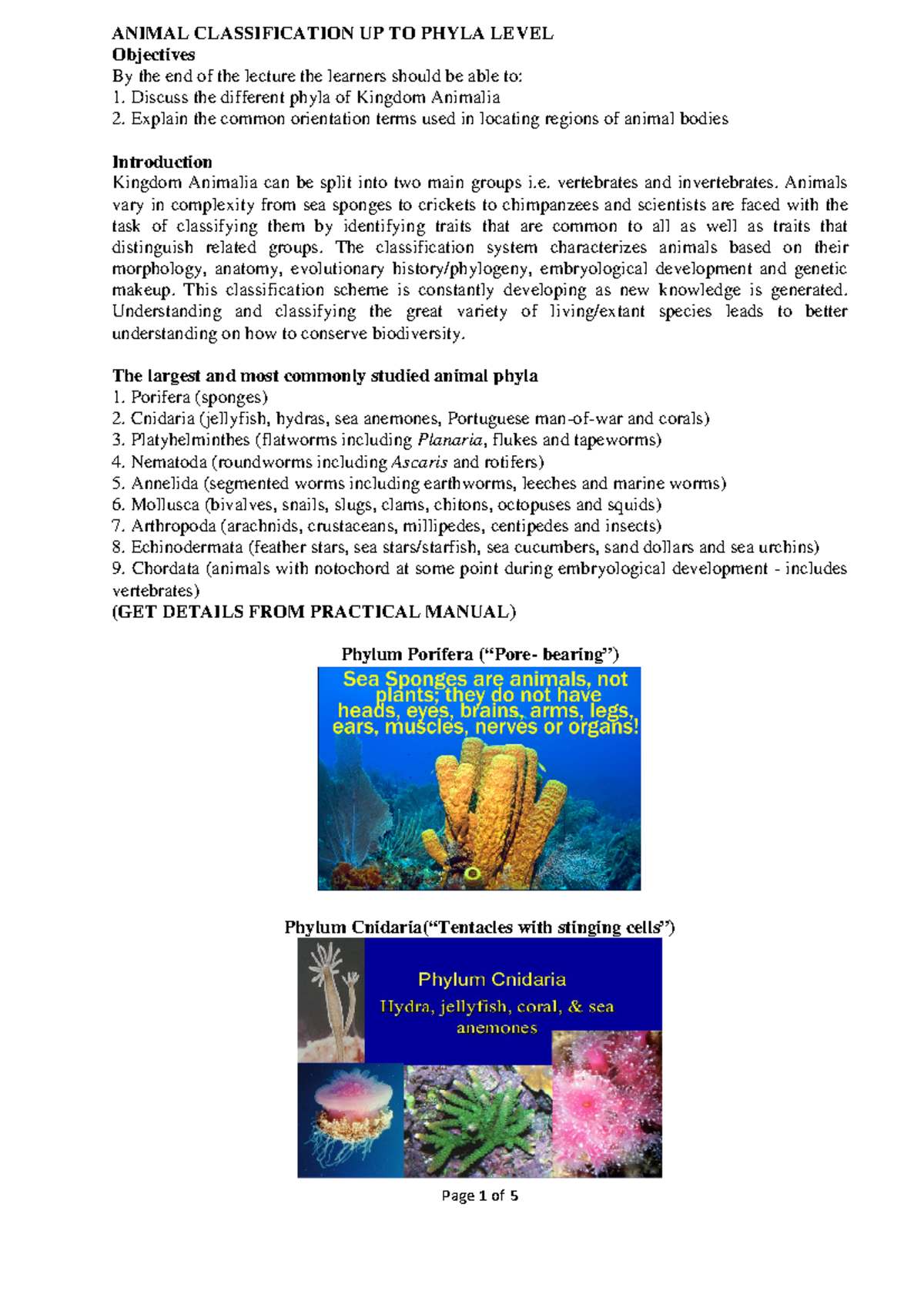 ZOO 101 Lecture Notes III - 2022: Exploring Animal Phyla Classification ...