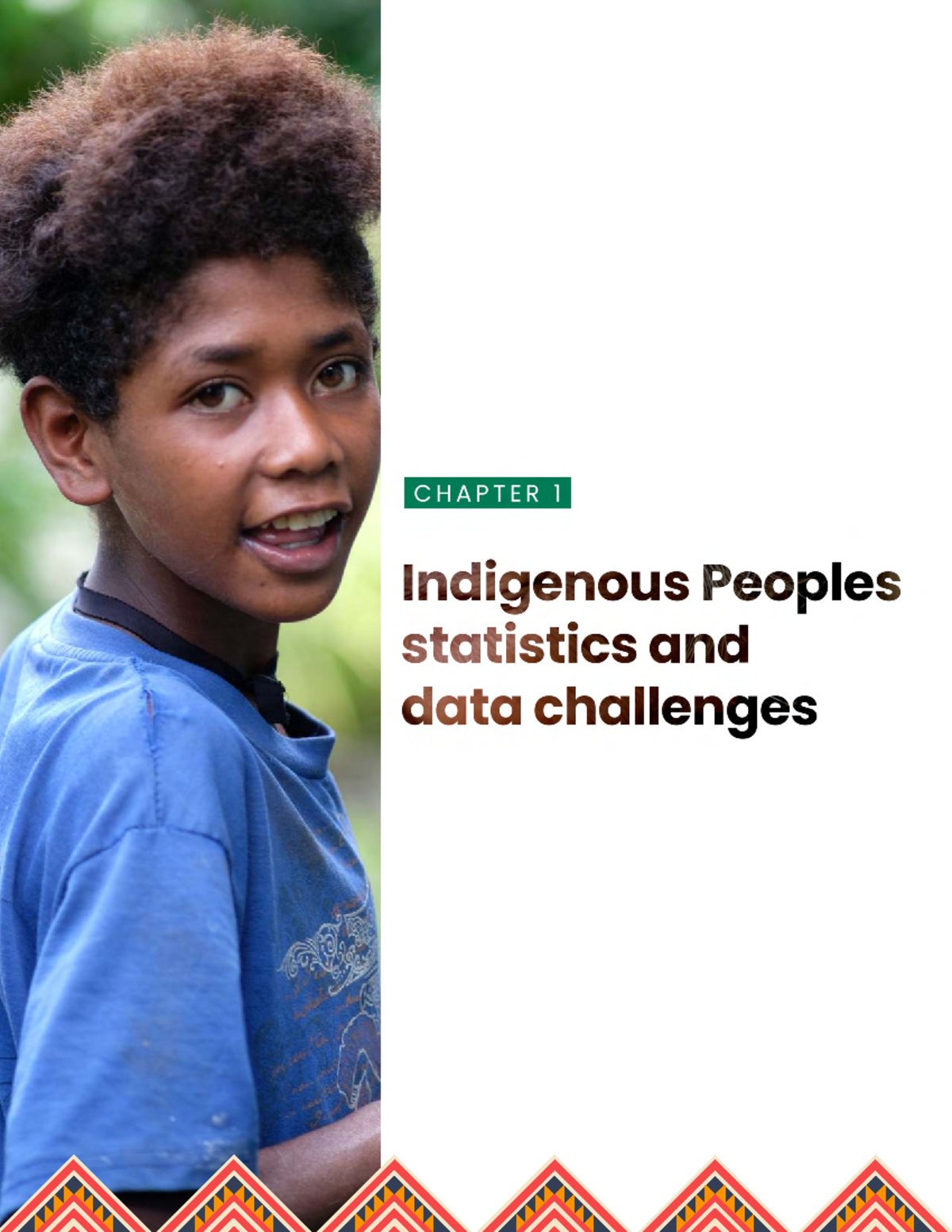 CHAPTER 1: STATISTICS AND DATA CHALLENGES OF INDIGENOUS PEOPLES - Studocu