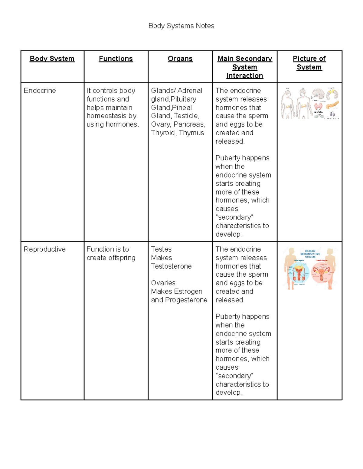 Body Systems Overview Notes for Biology 101 - Studocu