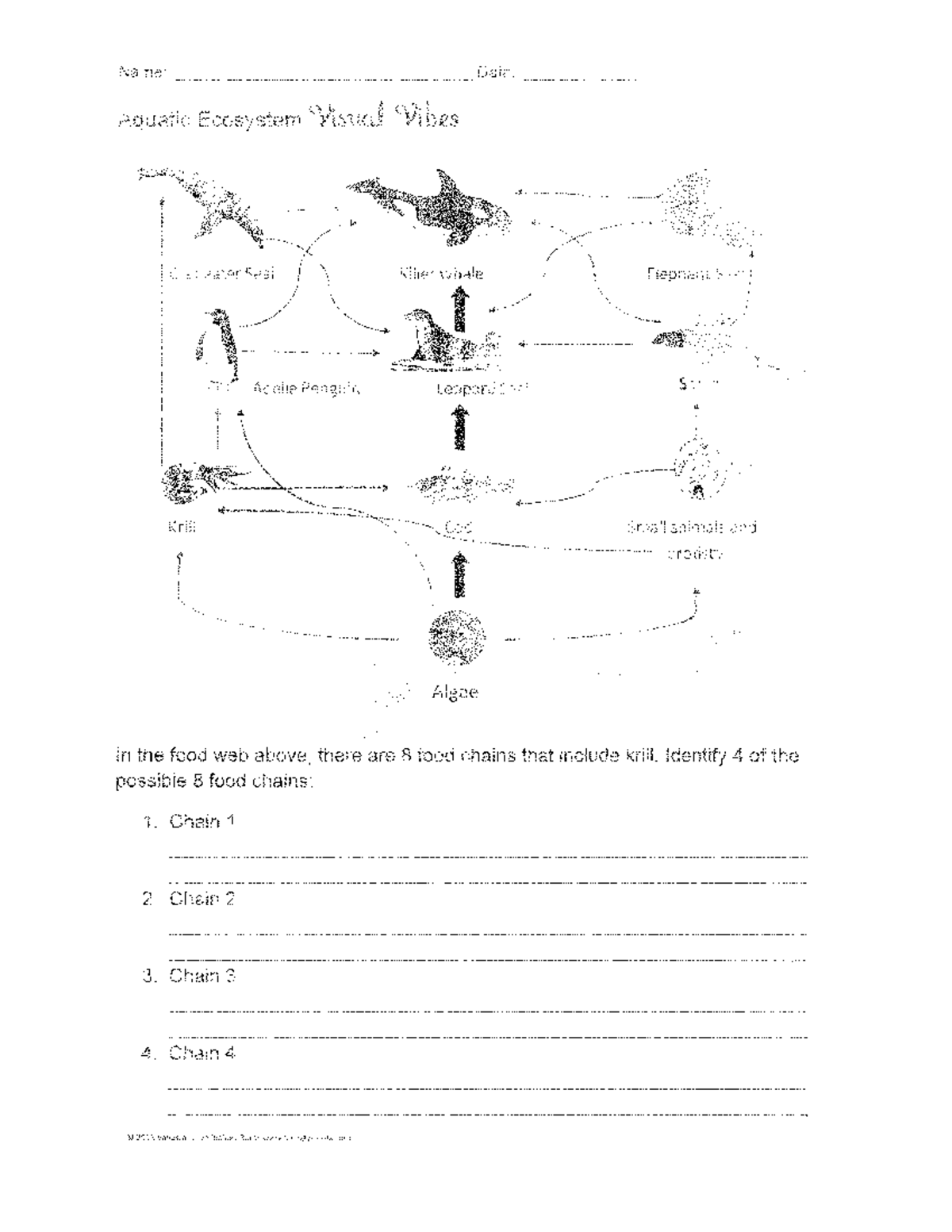 Aquatic Food Web Worksheet: Identifying Food Chains in Ecosystems - Studocu