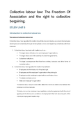 The New Essential Labour Law Handbook - Christoph Garbers; P. A. K. Le ...