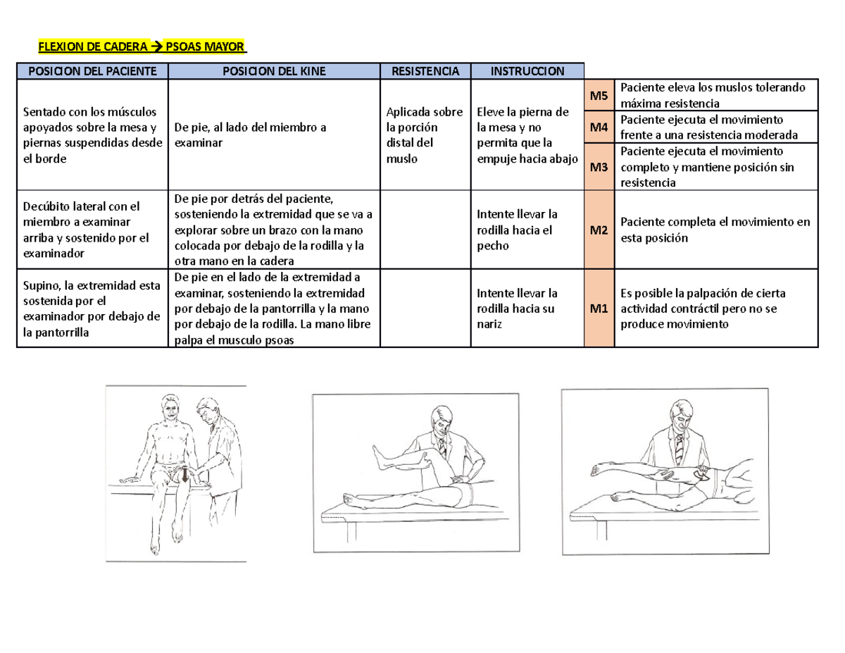 Pruebas Musculares de Cadera: Flexión, Abducción y Adicción - Studocu