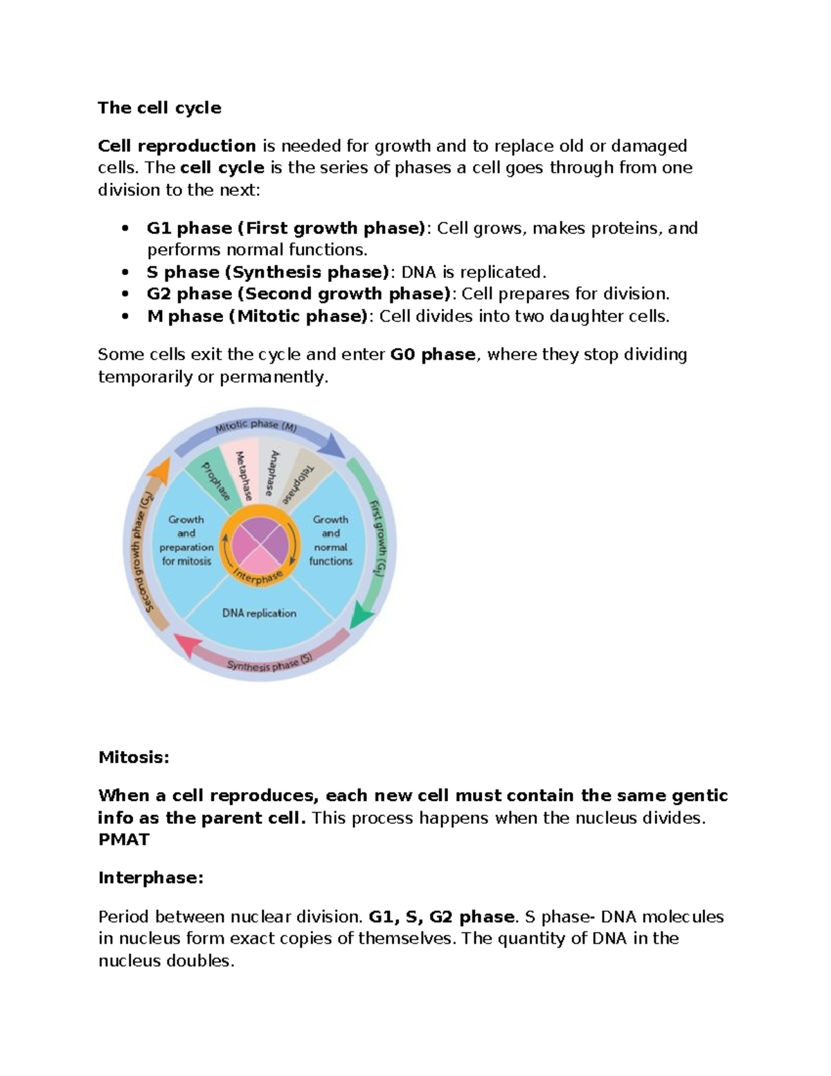 Bio 10: The Cell Cycle, Mitosis, Meiosis, and Cancer Overview - Studocu
