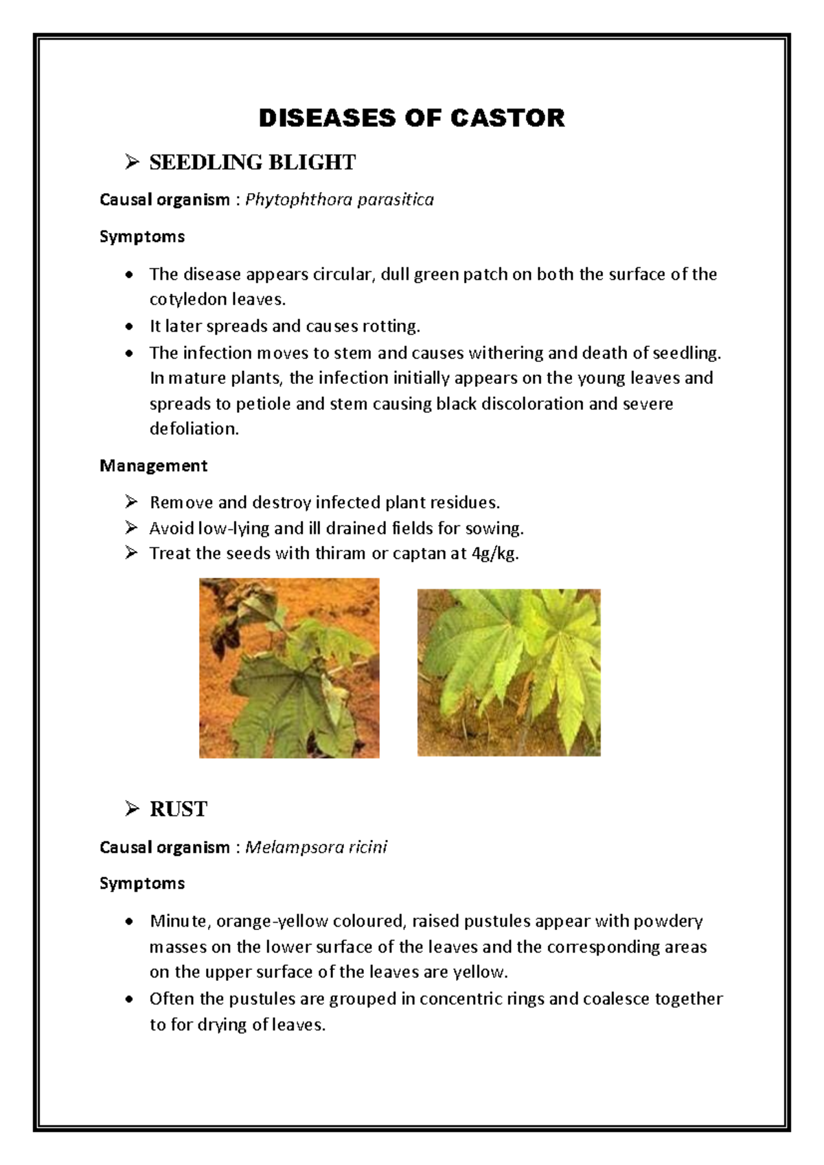 Diseases of Castor: Identification & Management Strategies - Studocu