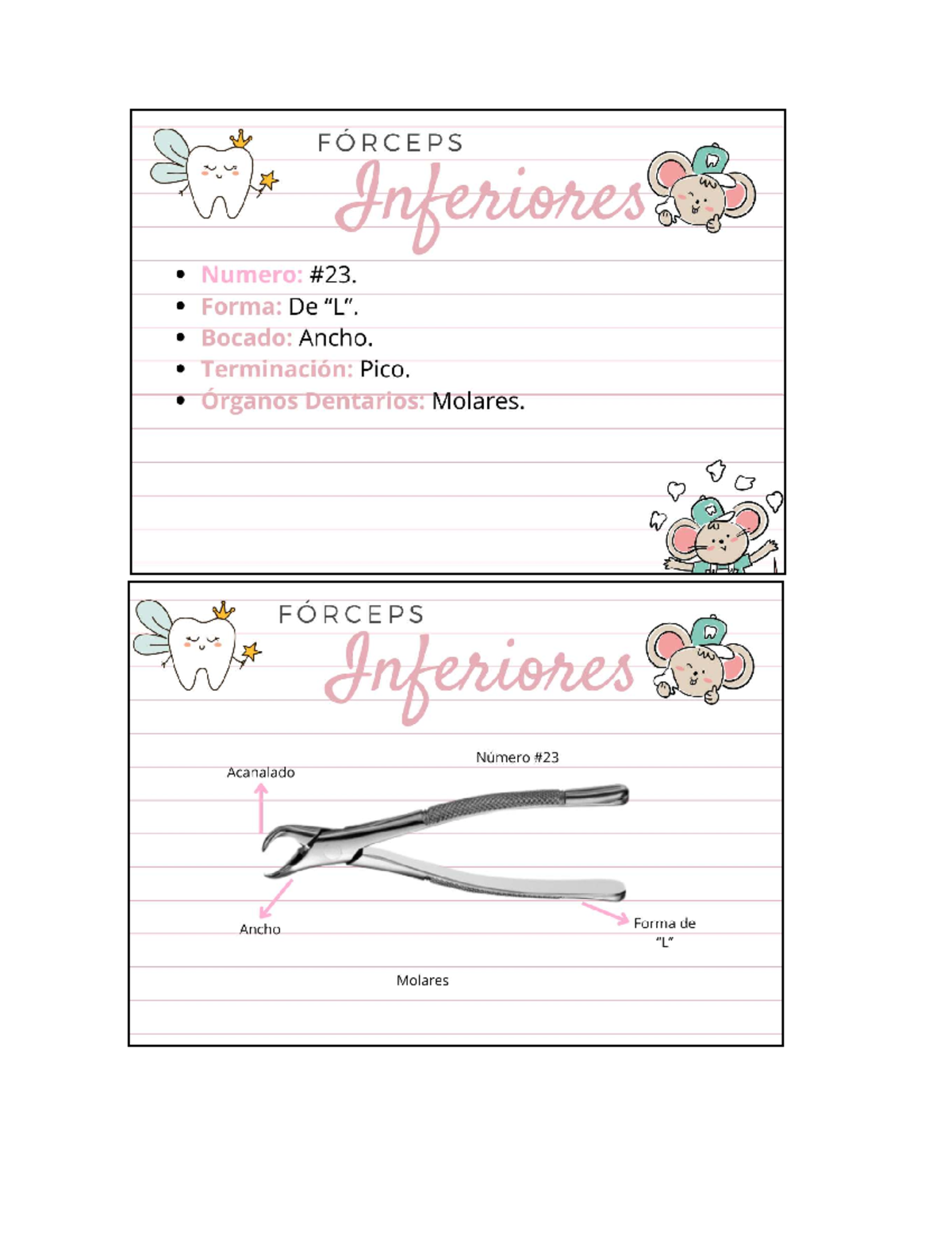 Fichas Exodoncia - FORCEPS Inferiores Numero: Forma: De Bocado: Ancho ...