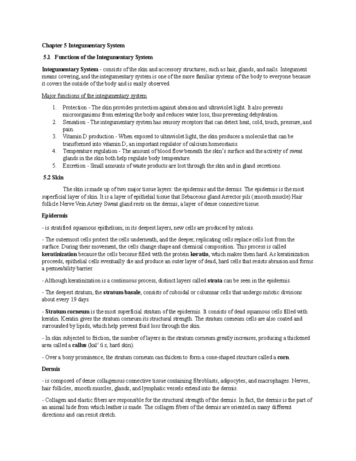Chapter 5 Summary: Integumentary System Insights - ANAPHY - Studocu
