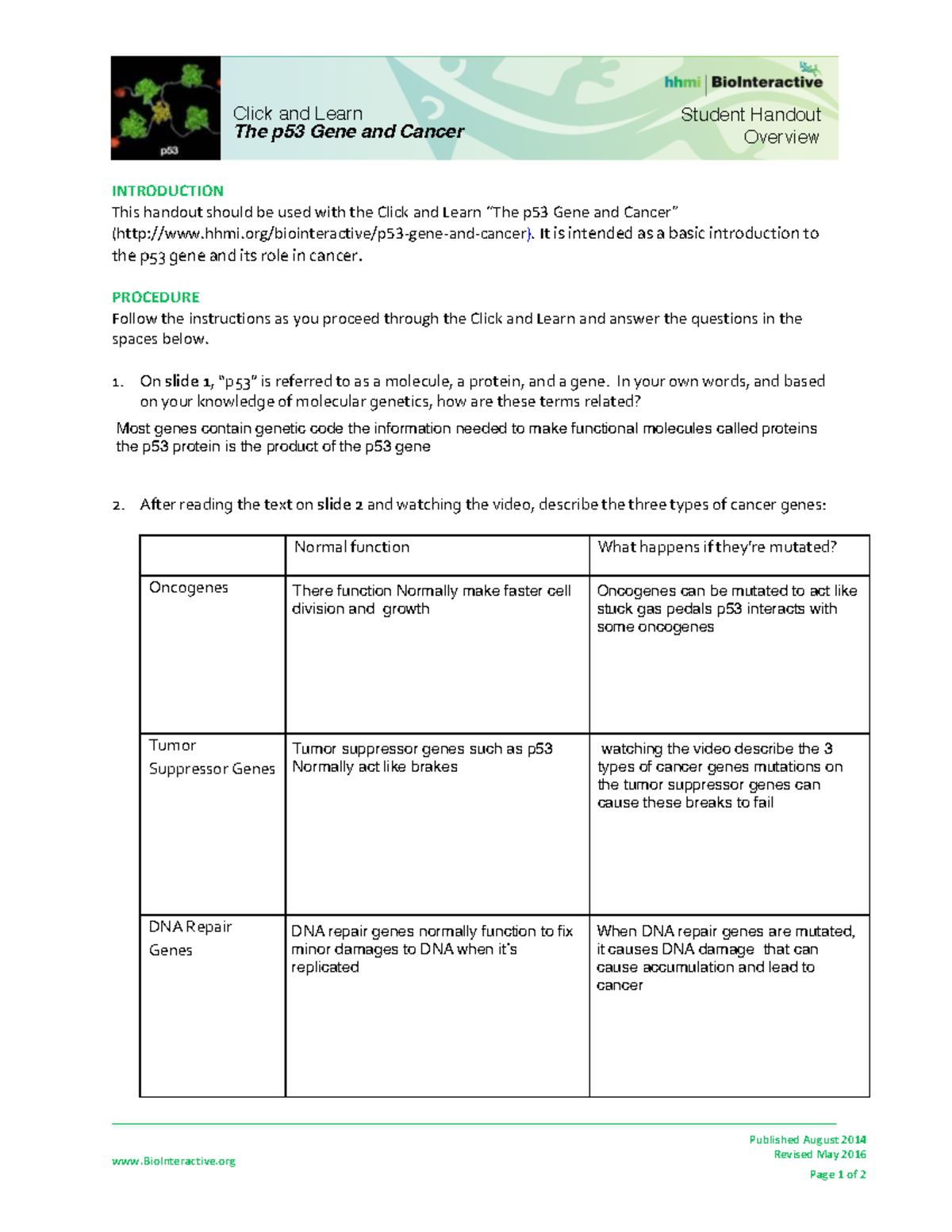 P53 Gene and Cancer Overview: Student Handout (Biology 101) - Studocu