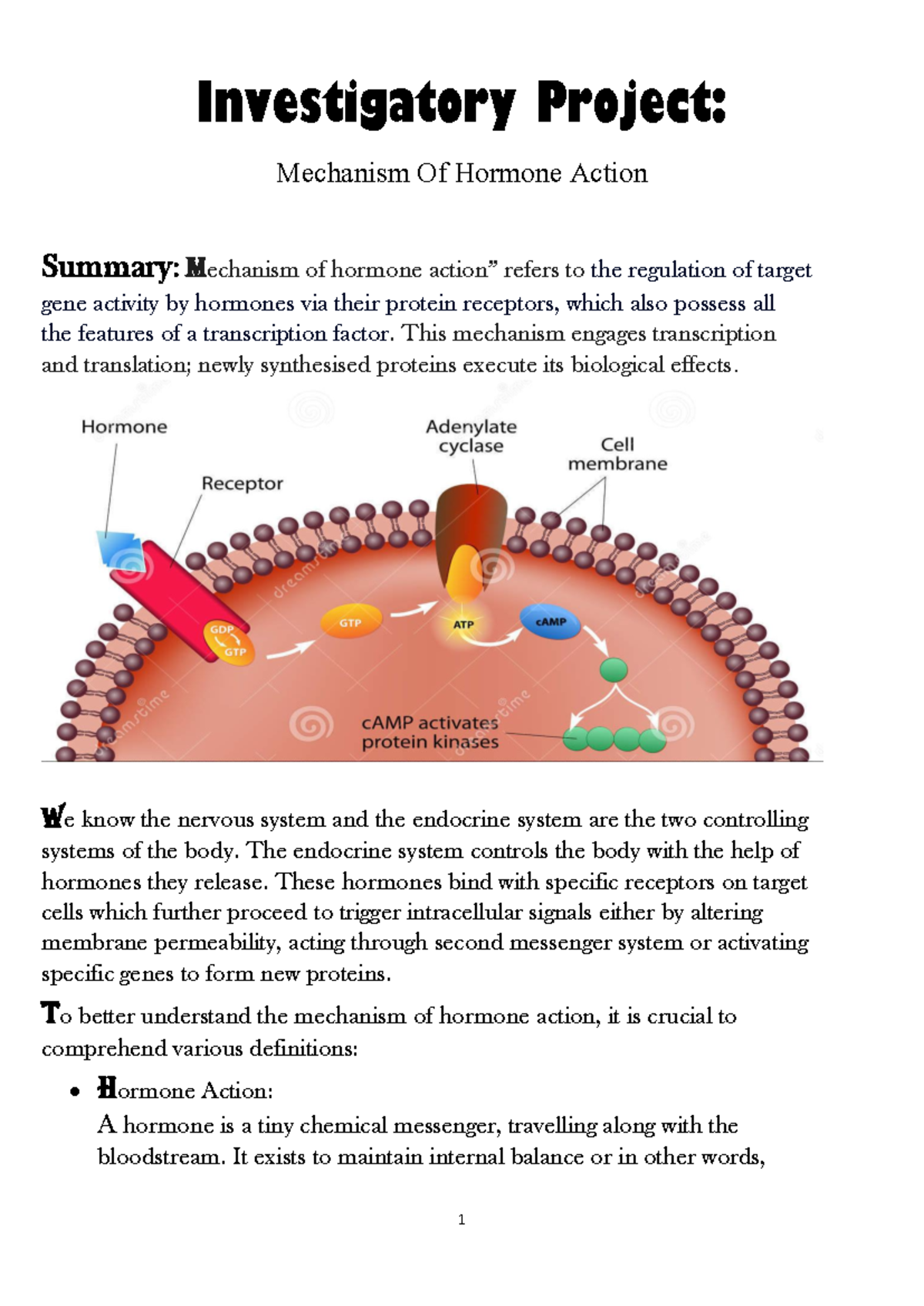 Hormone Action Mechanisms: Insights from Investigatory Project (BIOL ...
