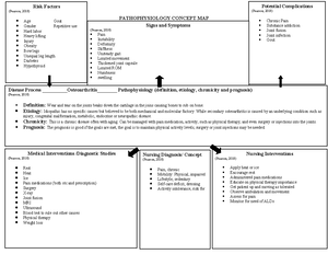 Dementia Pathophysiology Sheet - PATHOPHYSIOLOGY CONCEPT MAP Risk ...