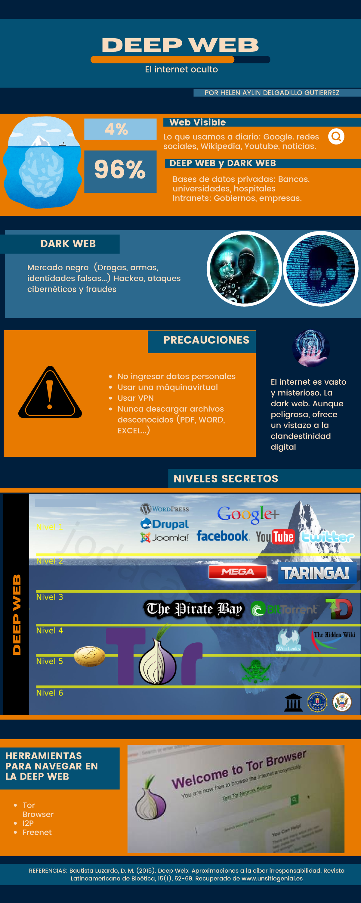 Infografía Deep web - DEEP WEB PRECAUCIONES No ingresar datos personales Usar una máquinavirtual ...