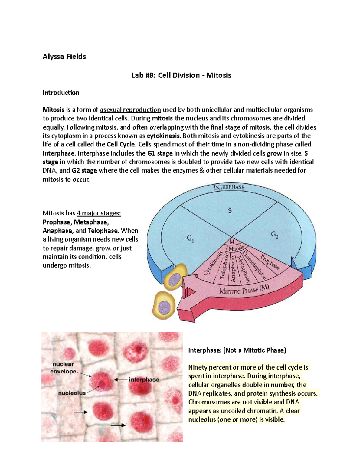 Post-Lab #8: Mitosis in Cell Division - Overview & Activity Guide - Studocu