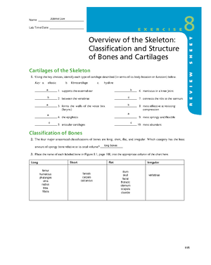 Ex 12 - Lab assignment - 191 Microscopic Anatomy and Organization of ...