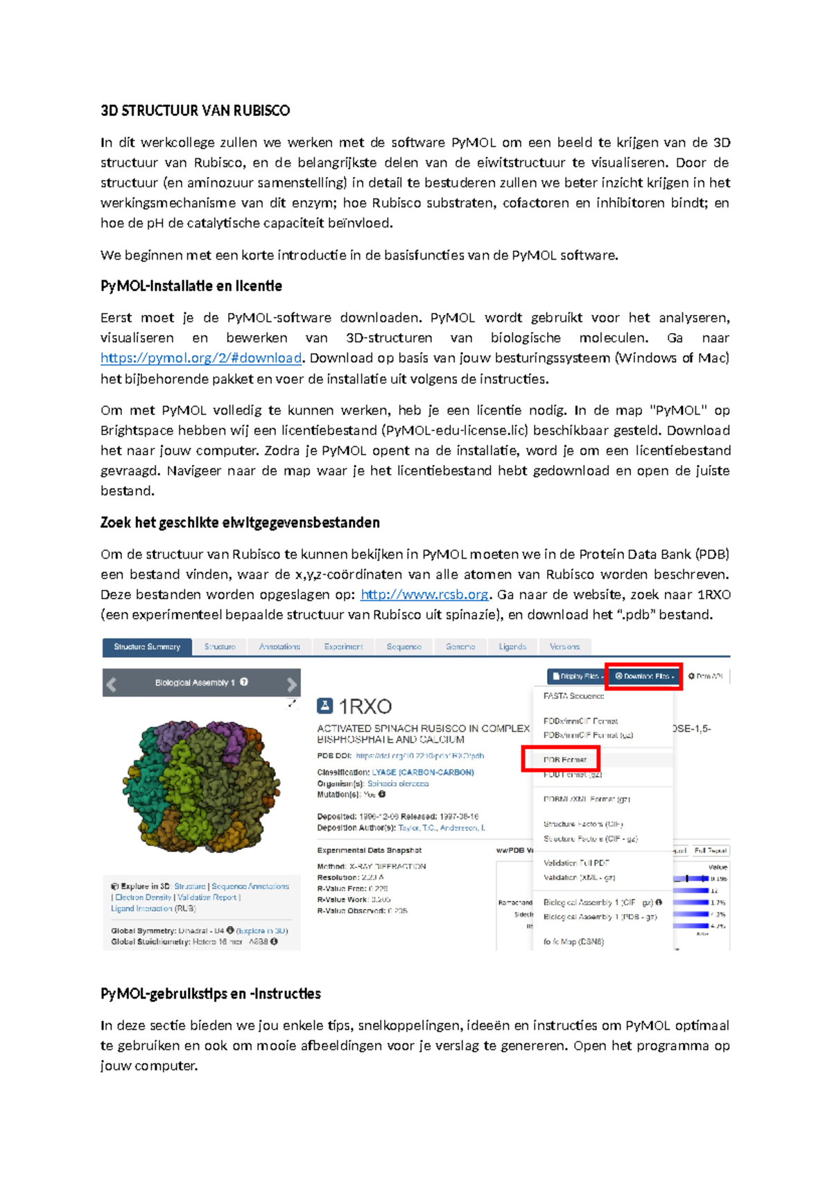 BIC10306 3D Structuur en Functionaliteit van Rubisco in PyMOL - Studeersnel
