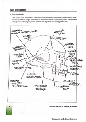 [Solved] Data Table 1 Lab Safety Equipment Alternatives Shower or Sink ...