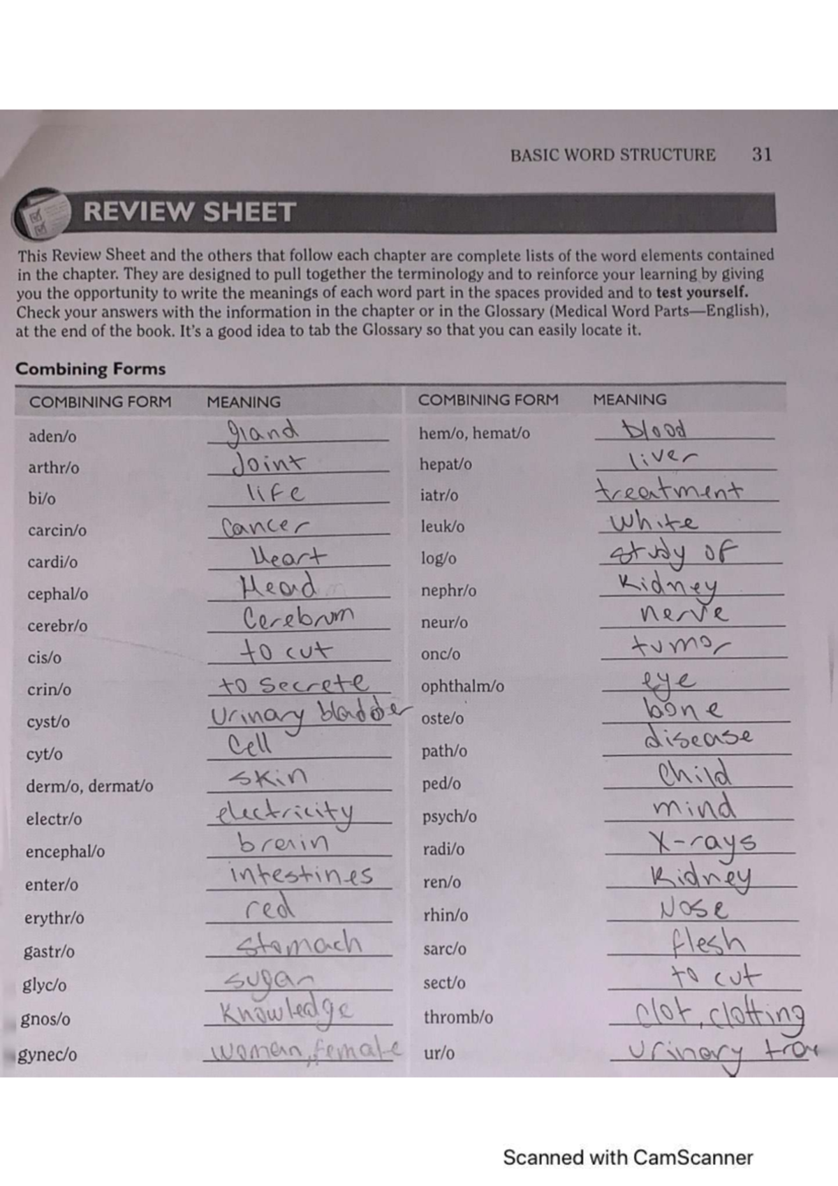 BASIC WORD STRUCTURE 31: Chapter 1 Review Sheet - Studocu
