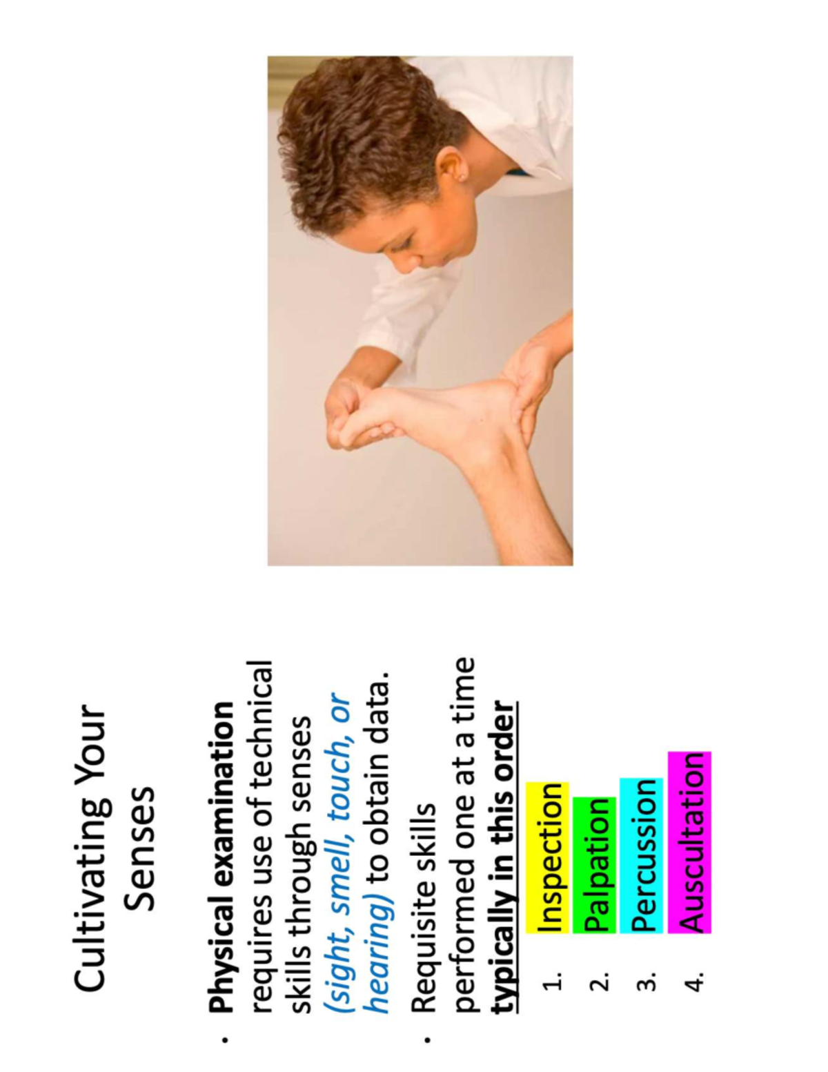 Nr302 - Important Lecture slide - NURS 126 - Cultivating Your Senses ...