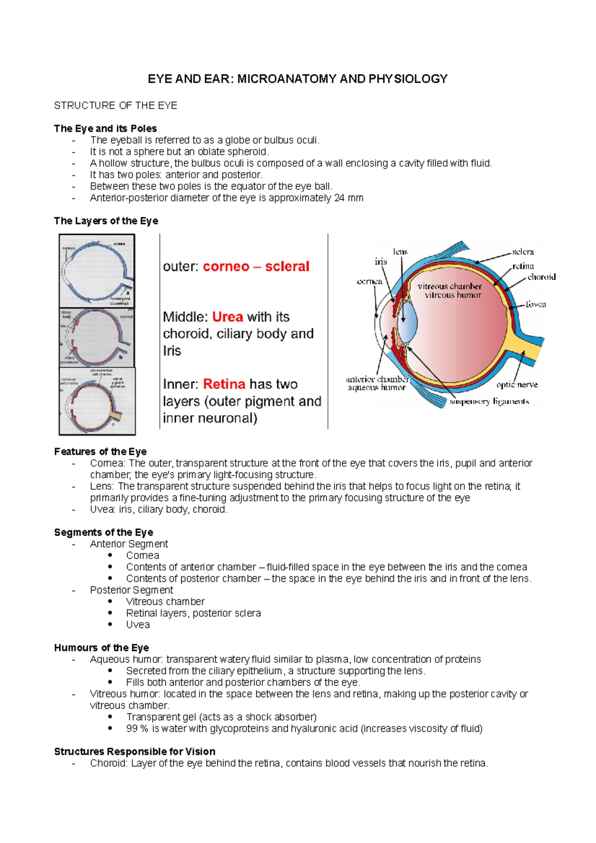 EYE & EAR: Microanatomy & Physiology - Lecture Notes 1 - Studocu