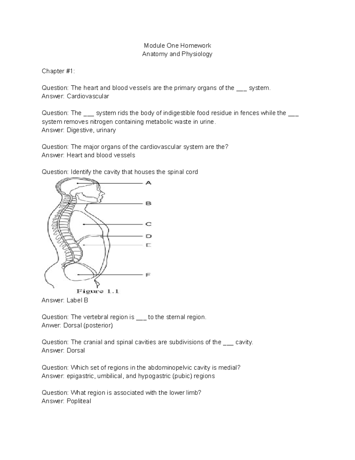 Chapter 1 anatomy homework - Module One Homework Anatomy and Physiology ...