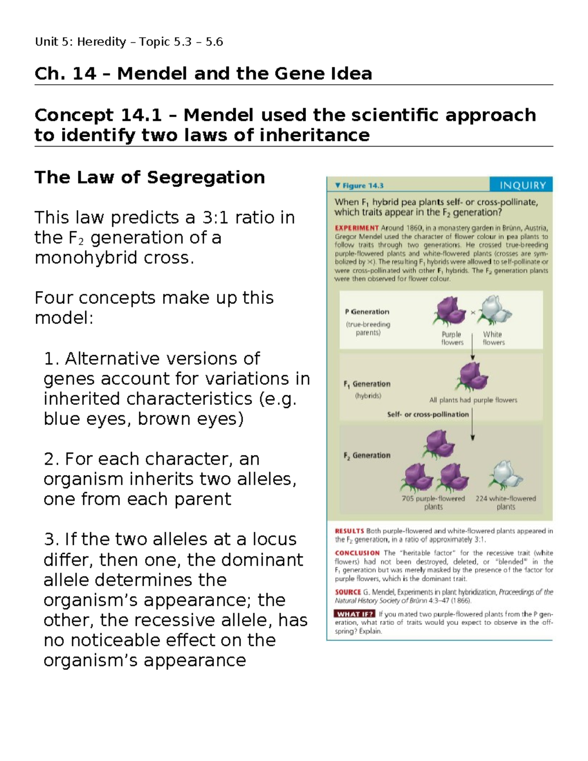 Unit 5: Heredity - Mendelian Genetics Concepts and Probabilities - Studocu
