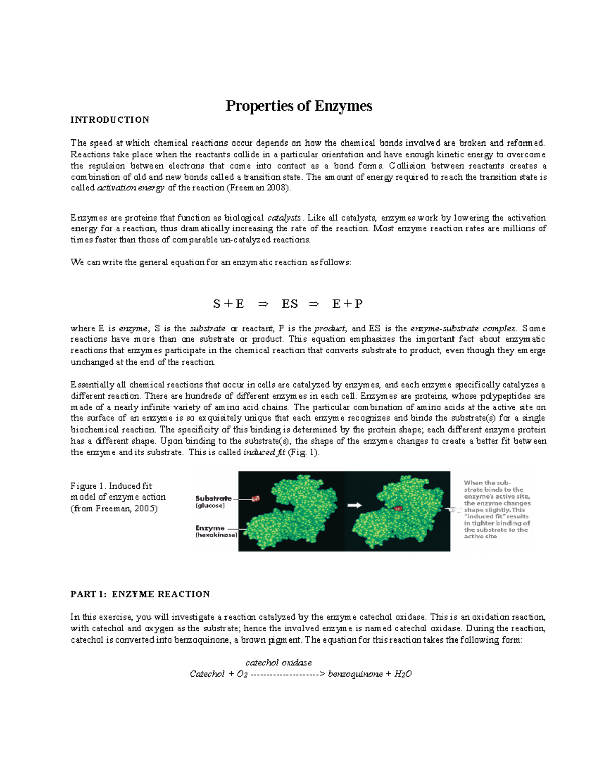 Lab 4: Enzyme Laboratory Manual for Section 150, Fall 2021 - Studocu