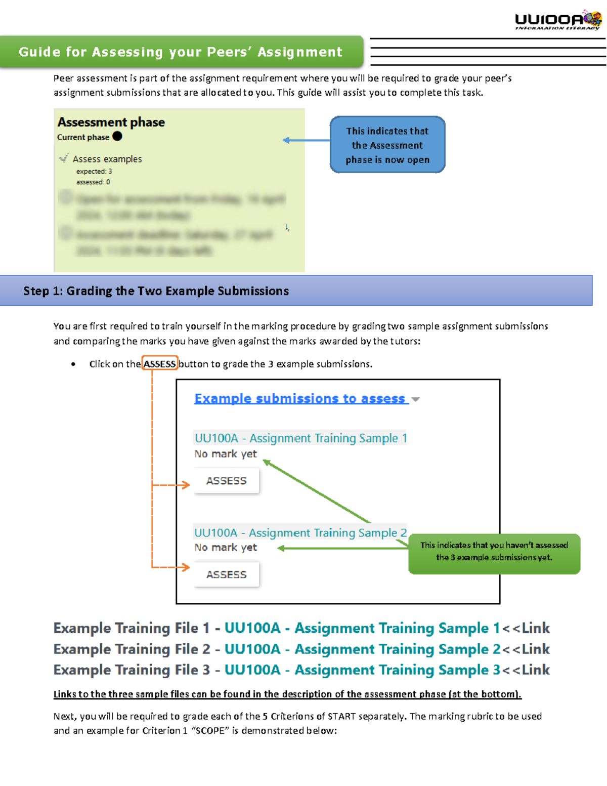 Peer Assessment Guide for Assignment Grading: Step-by-Step Instructions ...