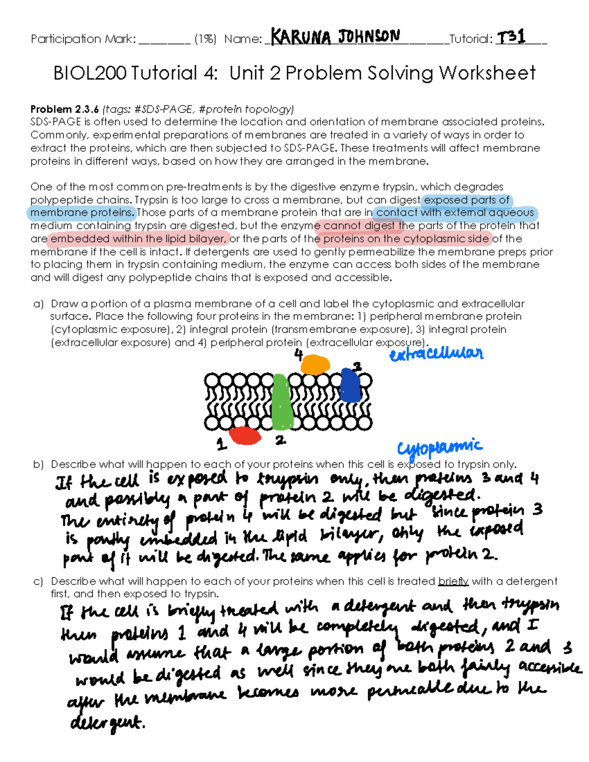 BIOL200 T31: Tutorial 4 Problem Solving on Membrane Proteins - Studocu