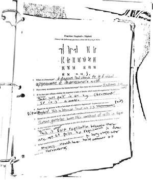 Unit 3 Lecture 1 Motor Control - The final common path refers to lower ...