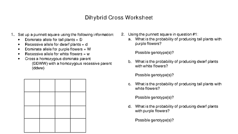 Dihybrid Cross Worksheet (Genetics) - Punnett Square Exercises - Studocu