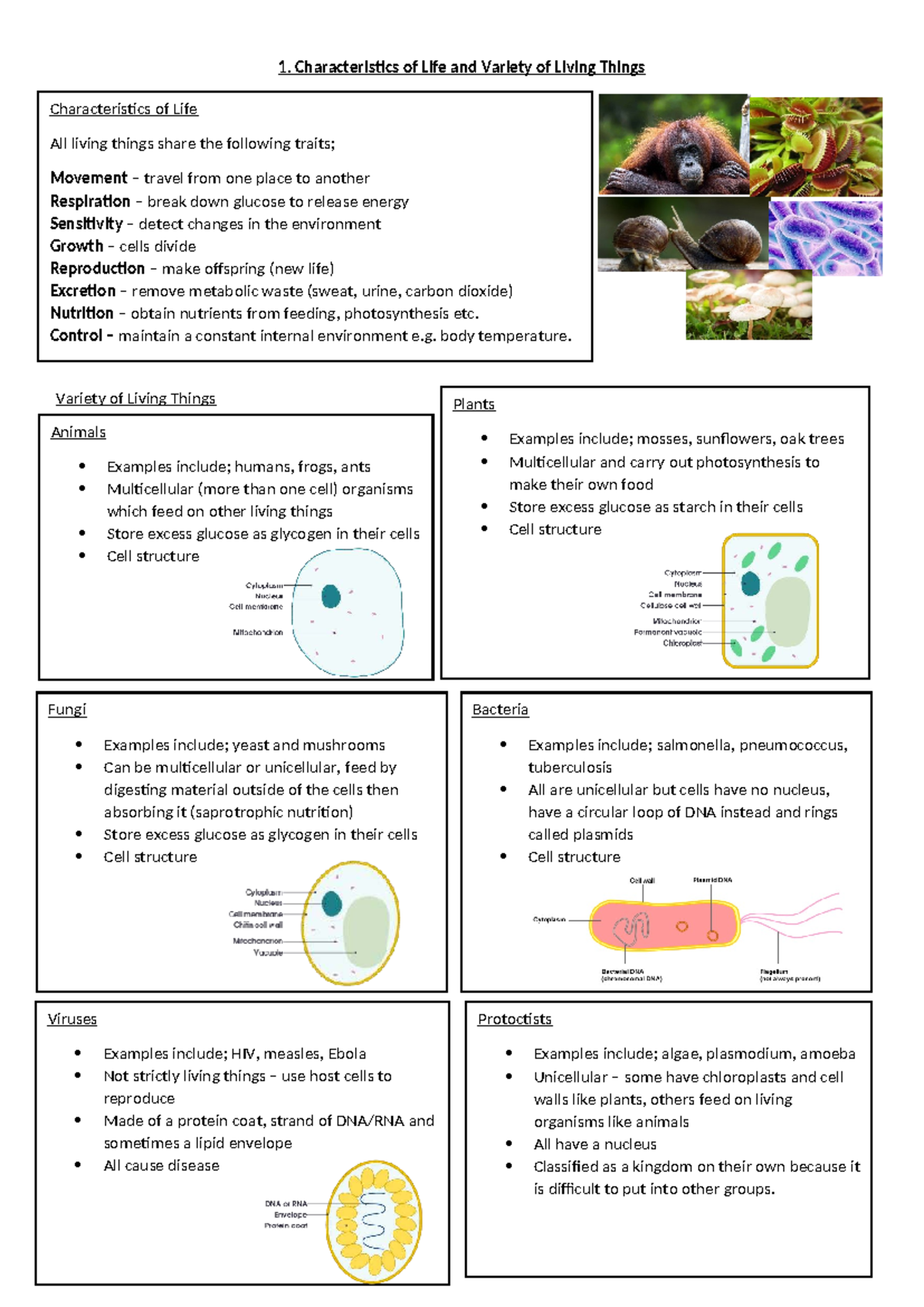 1. Characteristics of Life and Diversity of Living Things (Bio 101 ...